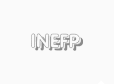 Vagas por INEFP – Instituto Nacional de Emprego e Formação Profissional ...