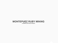 Vagas por Montepuez Ruby Mining - emprego.co.mz