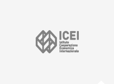 Vagas por ICEI – Instituto de Cooperação Económica Internacional ...